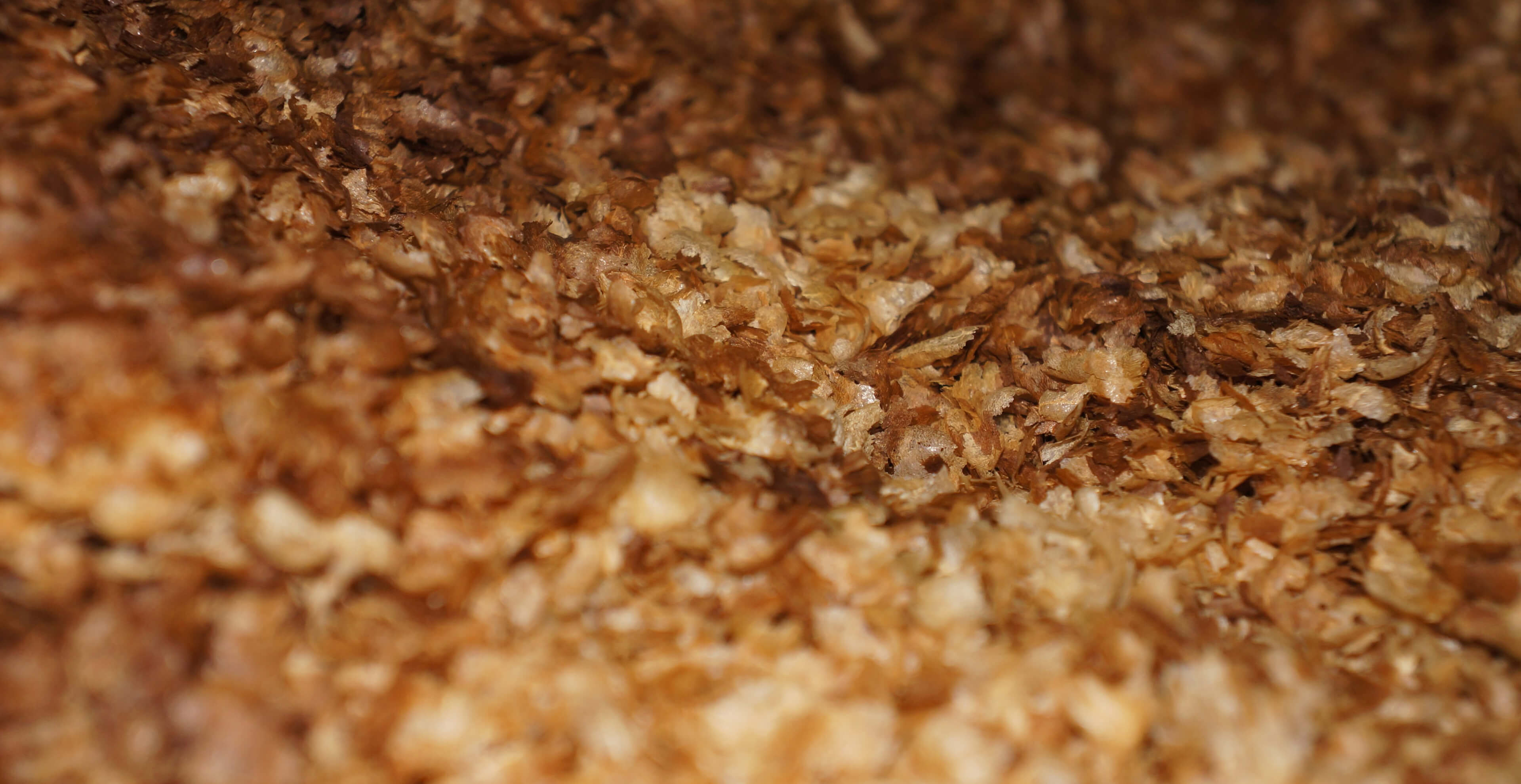 What Can You Do With Coffee Chaff? - Rounton Coffee